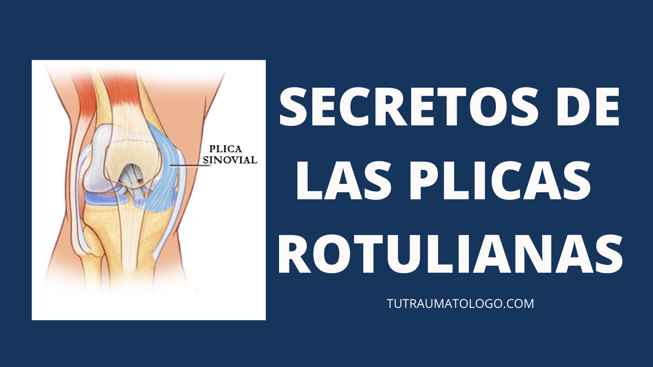 Anatomía De La Rodilla Plica